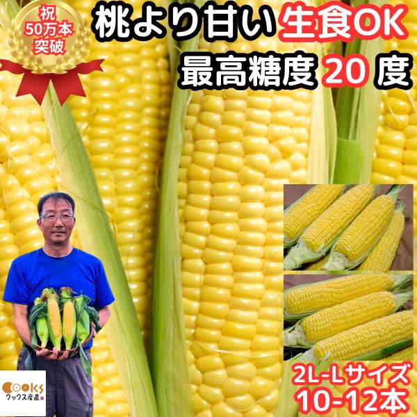 ★最高糖度20度以上！50万本突破！桃より甘〜いと地元で評判！★2Ｌ〜Lサイズで　10〜12本入りで長野信濃町より産地直送します★朝どり当日出荷で新鮮配送です！★北海道より大消費地に近く翌日配送も可能なので甘みも抜群です。★詳細情報【商品名...