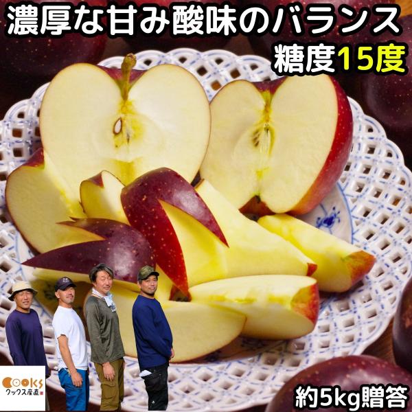★標高500Mが生む寒暖の差が美味しいりんごを育てます！★濃密な秋映りんごは、シャキッ！ジュワッ！と癖になる味わいです★溢れる果汁と濃厚な甘みと酸味のゴールデンバランスが魅力ですね♪★長野 飯綱町 クックス飯綱りんご会より産地直送でお届けし...