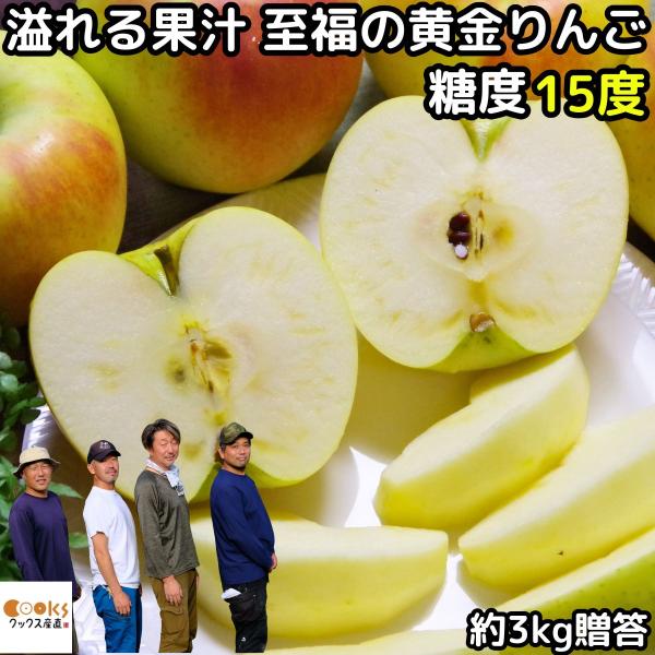 ★標高500Mが生む寒暖の差が美味しいりんごを育てます！★濃密なぐんま名月は、シャキッ！ジュワッ！と癖になる味わいです★溢れる果汁と濃厚な甘みが魅力ですね♪★長野 飯綱町 クックス飯綱りんご会より産地直送でお届けします★詳細情報【内容量】溢...