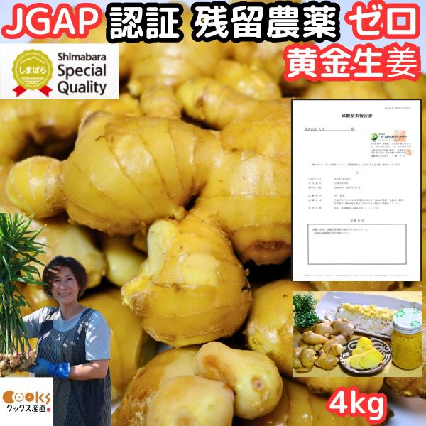 ★マイルドでなめらかな舌触り 柔らかく繊維質が少ない黄金生姜（囲い生姜）★食べる万能薬 生姜で健康ライフ 血行促進で体を温め免疫力UP ★美味しく食べて綺麗になろう ジンゲロール ショウガオールで綺麗に！★薬味はもちろん色んな料理に挑戦しま...