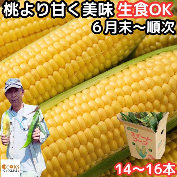 ★地元でも大人気のとうもろこしを朝どれ当日出荷で新鮮配送！★もぎたて新鮮なとびっきり甘いとうもろこしです★生で食べてもシャキシャキ旨い！茹でると更に甘みが増しますよ！★溢れだす美味しさに満足度200％ですよ♪★詳細情報【内容量】地元でも大人...