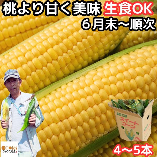 ★地元でも大人気のとうもろこしを朝どれ当日出荷で新鮮配送！★もぎたて新鮮なとびっきり甘いとうもろこしです★生で食べてもシャキシャキ旨い！茹でると更に甘みが増しますよ！★溢れだす美味しさに満足度200％ですよ♪★詳細情報【内容量】地元でも大人...