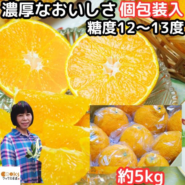 ★お口に広がる香りと甘さが最高！濃厚なおいしさ 糖度12〜13度★安心・安全のこだわり（化学肥料・除草剤不使用）★熊本のこだわり生産者限定だから味も美味でおすすめです★1玉づつ鮮度保持のため袋に入った状態でお届けします★詳細情報【内容量】不...