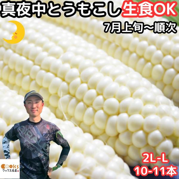 ★地元でも大人気のとうもろこしを熱を持たない夜中に収穫して新鮮配送！★もぎたて新鮮なとびっきり甘いとうもろこしです★生で食べてもシャキシャキ旨い！茹でると更に甘みが増しますよ！★溢れだす美味しさに満足度200％ですよ♪★詳細情報【内容量】白...