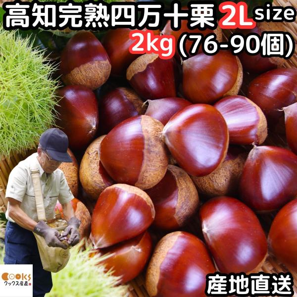 ★南国土佐四万十の豊かな自然に育まれた絶品「四万十栗」★甘さ際立つおいしさが魅力の四万十栗です！★大きさも良く2kgのボリュームは魅力です★栗は鮮度が命！とれたて新鮮出荷！★ほっこり甘くてホックホク★詳細情報【内容量】高知四万十の豊かな自然...