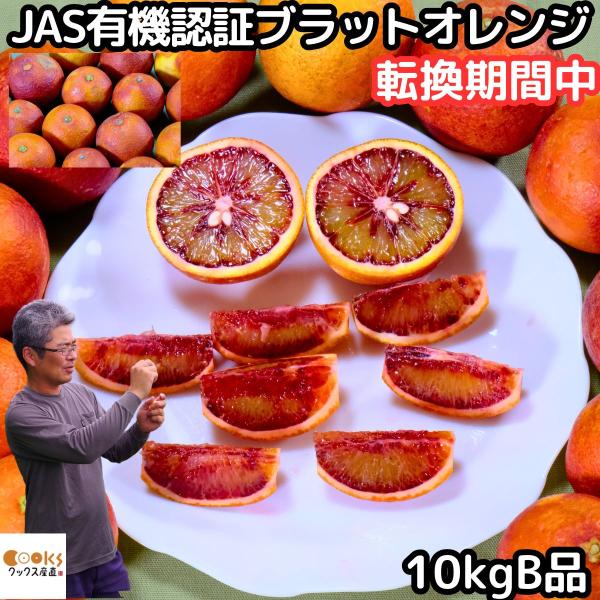 ★オレンジの皮まで安心して食べられる！見た目は少し不格好でも安心の証です！★有機ＪＡＳ認証 転換期間中 （化学農薬・化学肥料不使用、除草剤・ワックス不使用）★自然の恵みがぎゅっと詰まったブラットオレンジ★誰もが安心してた食べれる健康なオレン...