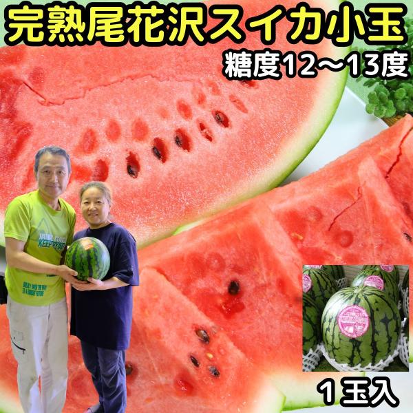 ★種まで食べても気にならない小玉スイカです★平均糖度12〜13度以完熟スイカはシャリ感＆甘みが最高！★皮の淵まで甘みたっぷりのおいしい西瓜です！品種『ピノガール』★お盆のお供え、帰省土産にいかがですか！★7月下旬〜8月上旬 順次出荷スタート...