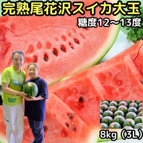 ★皮の淵まで甘〜い尾花沢スイカ★平均糖度12〜13度以完熟スイカはシャリ感＆甘みが最高！★皮の淵まで甘みたっぷりのおいしい西瓜です！品種『羅王 ・/スイート』★お盆のお供え、帰省土産にいかがですか！★7月下旬〜8月上旬 順次出荷スタート！★...