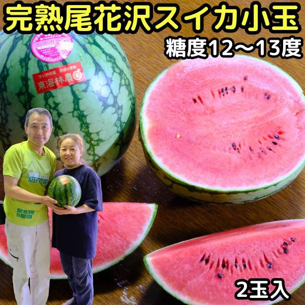 ★種まで食べても気にならない小玉スイカです★平均糖度12〜13度以完熟スイカはシャリ感＆甘みが最高！★皮の淵まで甘みたっぷりのおいしい西瓜です！品種『ピノガール』★お盆のお供え、帰省土産にいかがですか！★7月下旬〜8月上旬 順次出荷スタート...