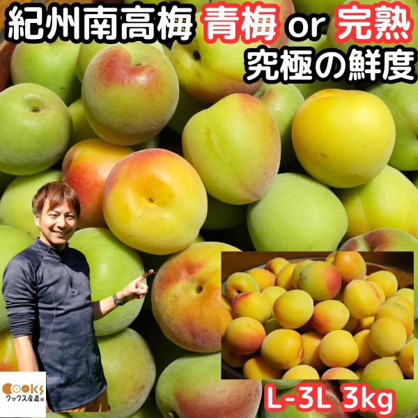 ★生産者さん指定！梅生産量日本一和歌山田辺直送★南高梅を1粒、1粒丁寧に手摘みした商品です★南高梅は、果肉厚く柔らかで梅干しに最適です。★南高梅は、種が小さく果肉が多いのが人気です。★初めての方でも上手に一番漬けやすいＬ〜３Lサイズをお届け...