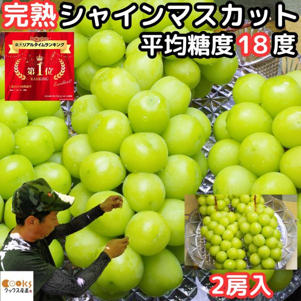 ★今話題！皮ごと食べる種なしブドウがおすすめ♪★甘さ・美味しさ・・香り良しの美味ブドウを産地直送★選りすぐりの農家 山梨 久保田農園さん直送！★朝どれ当日出荷の「究極の鮮度」で産地直送！★甘さと濃厚な旨味が癖になるブドウです！お口に入れた瞬...
