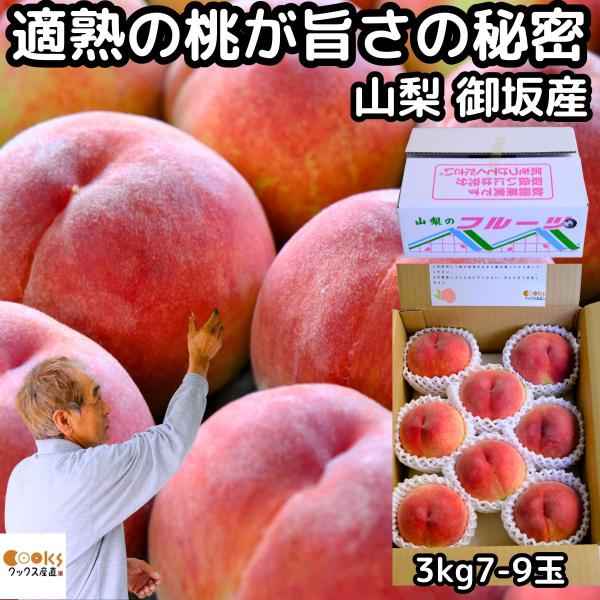 ★適熟へのこだわりがうまさの秘密　桃歴23年の匠　鈴木農園厳選★ご注文時にもっともおいしい時期にお届けします★安心の農薬 化学肥料50%カット 除草剤不使用★朝どれ当日出荷！究極の鮮度でお届け！★詳細情報【商品名】適熟が旨さの秘密 桃歴23...