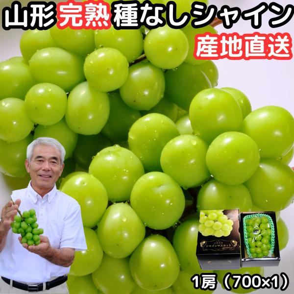 ★今話題！皮ごと食べる種なしブドウがおすすめ♪★大粒・ハリ・甘さ・香り良しの美味ブドウを生産者さんが厳選！★選りすぐりの農家 山形 佐藤農園さんより産地直送！★朝どれ当日出荷の「究極の鮮度」で産地直送！★甘さと濃厚な旨味が癖になるブドウです...