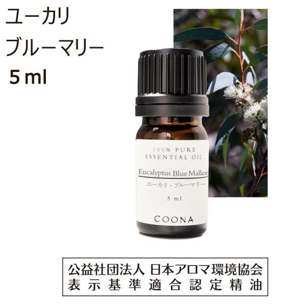 100％天然 アロマオイル 精油 エッセンシャルオイル【AEAJ表示基準適合認定精油】品名： ユーカリ・ブルーマリー精油別名： ユーカリ ポリブラクティア英名： Eucalyptus Blue Mallee学名： Eucalyptus po...