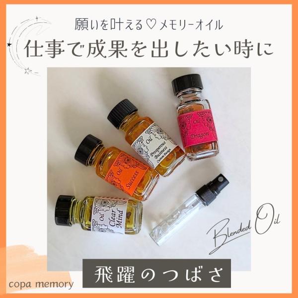 仕事で結果を出したい人、キャリアの飛躍を目指す人、大きな目標に挑戦する人に向けて作った特別なブレンド?集中力・決断力・行動力をサポートし、あなたのポテンシャルを最大限に引き出します。【配合オイル】★Success(成功)… 目標達成のあと押...