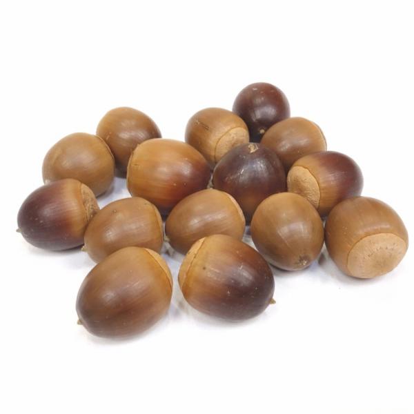 2025年秋に 九州で採集しましたクヌギのどんぐりです。大中サイズ、不揃い15個です。サイズは 幅が 2.1〜2.3cm 程度、高さ 2.5〜2.7cm 程度、大きめのものを集めました。80度を超える温泉を使用して 熱処理および洗浄を行い、...