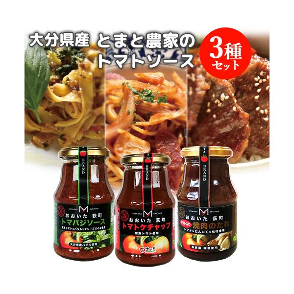 トマトケチャップ、焼肉のたれ、トマバジソースの3種類がセットになったギフトです。[トマトケチャップ]試行錯誤を繰り返し、厳選したスパイスと自家栽培の玉ねぎを入れたエム・ナインの代表作。[焼肉のたれ]愛情たっぷりの手作り味噌を使ったたれは、ち...