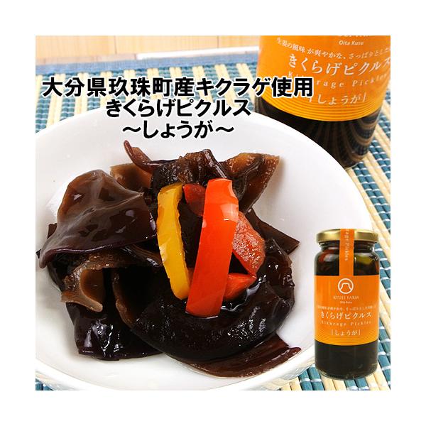 【3,980円以上で送料無料(※北海道は9,800円以上)】きくらげピクルス【しょうが】生姜の風味が爽やかな、さっぱりとした美味しさ。ほんのりしょうがの香りが漂うピクルスで、体の芯から温まります。[名称]きくらげ加工品[賞味期限]パッケージ...