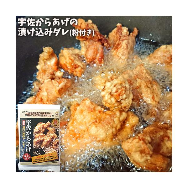 【3,980円以上で送料無料(※北海道は9,800円以上)】※こちらは簡易パッケージ商品です※鶏肉消費量トップクラスの大分県が誇るソウルフード「からあげ」。からあげ専門店発祥の地と言われる宇佐のからあげの味をタレにしました。ガツンとくるにん...