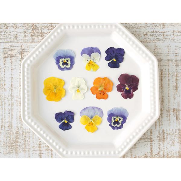 ［規格］10枚入り<br>［色］おまかせ<br>［素材］ビオラ花弁