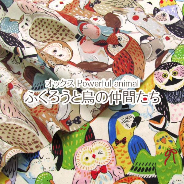 鳥/トリ/とり/フクロウ/インコ/ハシビロコウ/シマエナガ/スズメ/ミミズク/文鳥/動物/生地/布/綿/コットン/プリント