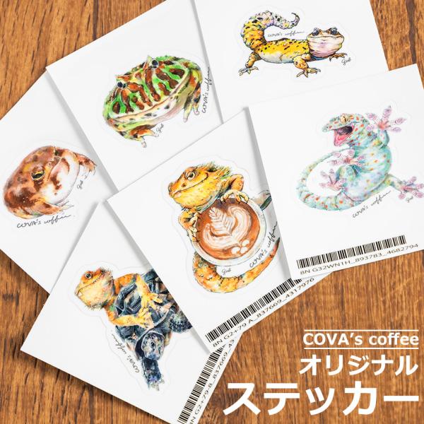 COVA's coffeeオリジナルステッカーの登場です！全て当店専属デザイナーによるオリジナルデザインです。1、COVA's coffee ロゴ2、ヘルマンリクガメとフトアゴヒゲトカゲ3、ヒョウモントカゲモドキ4、トッケイヤモリ5、クラン...