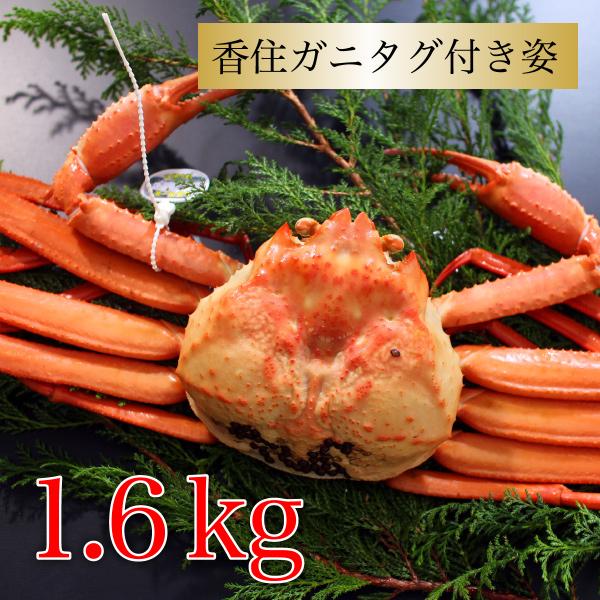 【内容量】約800ｇ×２杯【原材料】紅ズワイガニ【産地】日本／兵庫県香住港　【賞味期限】着日より約3日　商品到着後お早目にお召し上がりください。【保存方法】要冷蔵5℃以下【加工方法】ボイル【発送】ヤマト運輸クール便　※水揚げがありしだいのお...