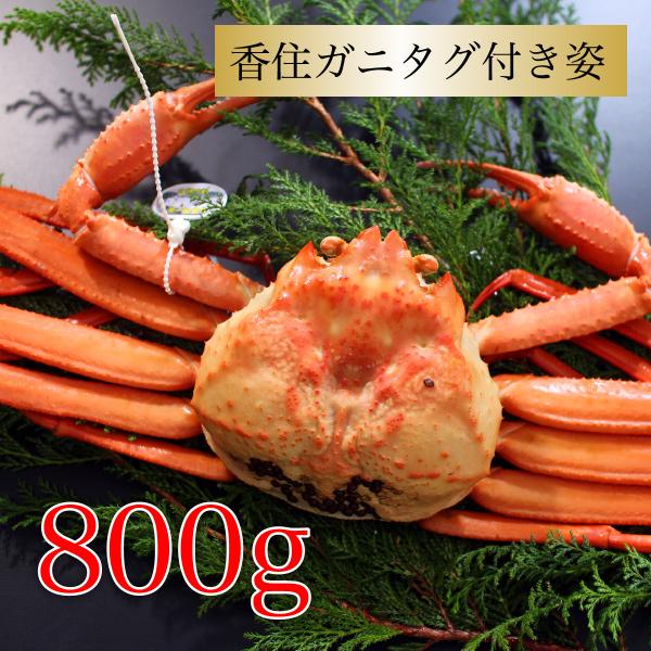 【内容量】1匹　約800ｇ【原材料】紅ズワイガニ【産地】日本／兵庫県香住港　【賞味期限】着日より約3日　商品到着後お早目にお召し上がりください。【保存方法】要冷蔵5℃以下【加工方法】ボイル【発送】ヤマト運輸クール便※水揚げがありしだいのお届...