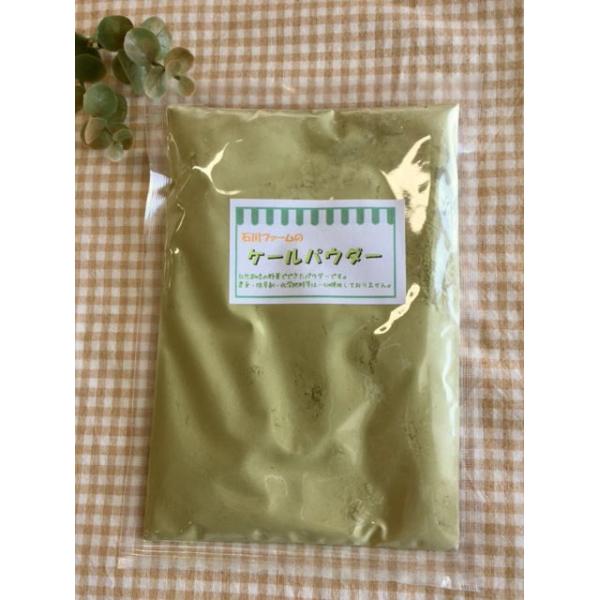 石川ファームの野菜パウダーは、独自の低温除湿送風乾燥製法で野菜に含まれる栄養が損なわれることなくそのまま凝縮されたパウダーです。青汁として、またお料理、お菓子、パン作りなどにもご利用いただけます。●高温時期は出来るだけ早くお手元にお届けした...