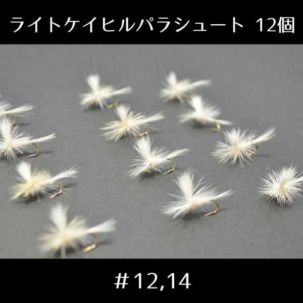 違いがわかるすべてのFly Fishers （フライフィッシャー）へ。厳選されたマテリアルを用いて熟練したプロのタイヤーが巻き上げた至高のフライシリーズCreek Edge Premium CollectionからLitecahill Pa...
