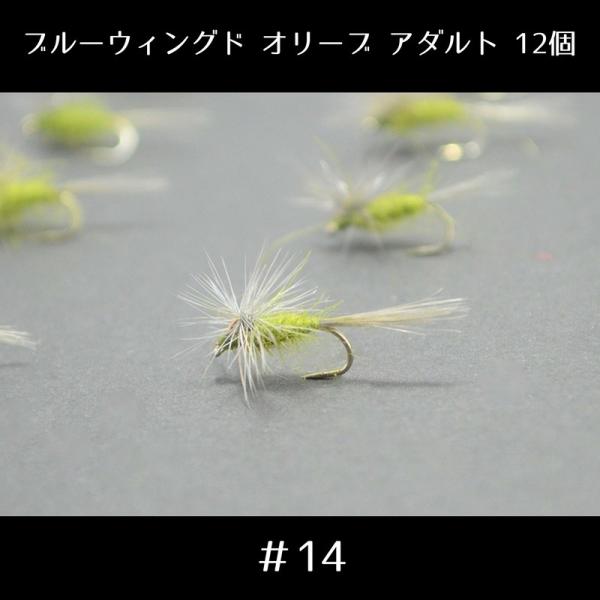 違いがわかるすべてのFly Fishers （フライフィッシャー）へ。厳選されたマテリアルを用いて熟練したプロのタイヤーが巻き上げた至高のフライシリーズCreek Edge Premium Collectionマダラカゲロウなどを模し、汎用...