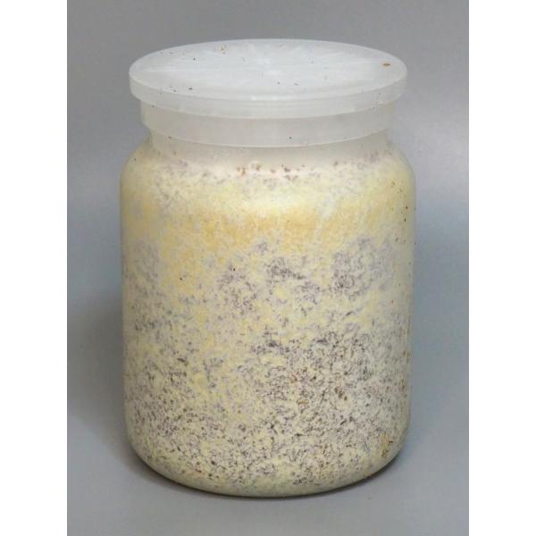 ご注文数により梱包サイズを変更しますそれに伴い送料を変更(減額)させていただきます・80サイズ    8本まで・100サイズ  15本まで樹種　　　ブナ、ナラ混合粒子　　　微粒子、中粒子混合添加量　　約10％菌種　　　カワラ容量　　　800...