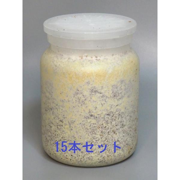 飛騨山角様のカワラ菌糸800既成ビンになります樹種　　　ブナ、ナラ混合粒子　　　微粒子、中粒子混合添加量　　約10％菌種　　　カワラ容量　　　800ボトル(500ｇ前後)クワガタ　幼虫飼育　菌糸ビン　菌糸ボトル