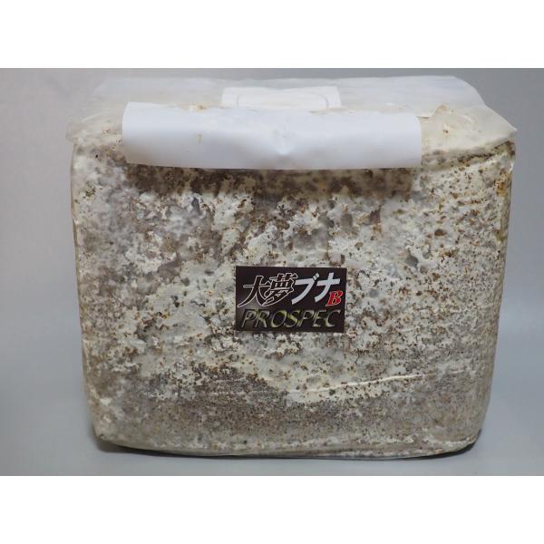 10ブロックまで1梱包で発送可能。※クール便発送時は1梱包6ブロックまで※ご注文数によりシステム表示の送料から変更する場合がございます【注意事項】こちらの商品はメーカー直送となります。メーカーの生産状況により、在庫が無い場合がございます。そ...