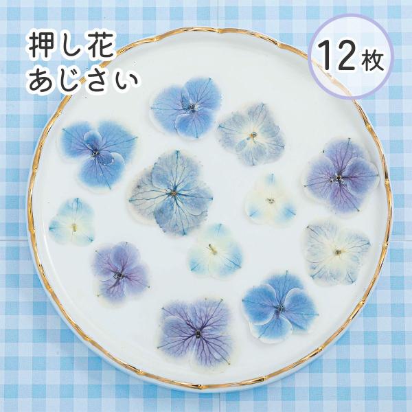 本物のあじさいを丁寧に押し花にしました。淡い色味とグラデーションの風合いが作品に上品さを演出してくれます。ブルーやパープル系の色味は涼しげな雰囲気で夏のアクセサリーにぴったり！そのままの大きさをヘアクリップやスマホケースのデコにつかったりカ...