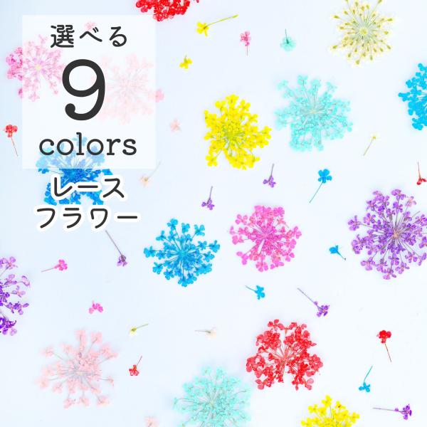 全9色の豊富なカラーバリエーション！繊細で可愛らしい見た目のレースフラワーの押し花です。花びらが広がって円形になっているので、見栄えがします。レジンクラフトの封入花材やスマホケースのデコレーションにとっても人気のレースフラワーです。球体モー...