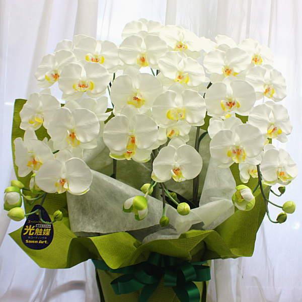 ●花や葉はもちろん、植木鉢にも光触媒加工が施してあります。●置き場所は選ばず、水やり、お手入れが不要。●本物と見間違うほど、本物そっくり精巧なつくりです。店頭に並べているとほとんどの方が本物と間違われます。●開店開業、誕生日や記念日の贈り物...