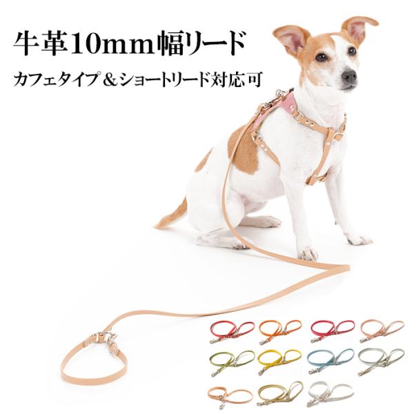 ハーネスリード 犬 おしゃれ 安全帯 小型犬 中型犬 いぬ 革 レザー犬の革ハーネス　職人仕立てのオリジナルレザー　メール便送料無料