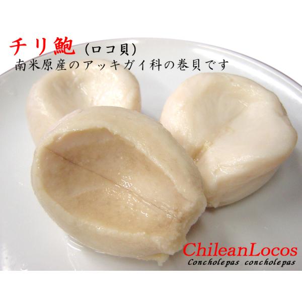 【チリ鮑（ロコ貝）水煮缶詰（3粒）】中華料理店などで鮑の代用として使用される貝ですロコ貝は南米原産のアッキガイ科の巻き貝で、その形状や食感が鮑に似ているため、別名をチリ鮑と呼ばれる人気の食材です。鮑と比べて価格が安いため、中華料理や寿司店な...