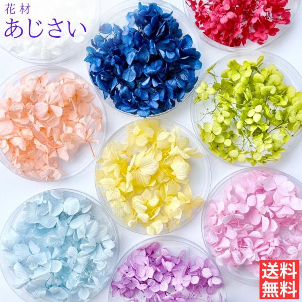 花材の小分け販売です。お好きな色を少量ずつ使いたい方に、ちょうど良い量を低価格でお届けします。内容物：あじさい(ブリザーブドフラワー)*写真のブリザーブドフラワー以外は付属しません。*商品は1パックのお値段です。ご注意：モニターの発色の具合...