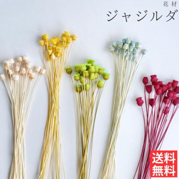 横浜ハーバリウム弐番店 正規品花材の小分け販売です。お好きな色を少量ずつ使いたい方に、ちょうど良い量を低価格でお届けします。*写真のブリザーブドフラワー以外は付属しません。*商品は1パックのお値段です。ご注意：モニターの発色の具合によって、...