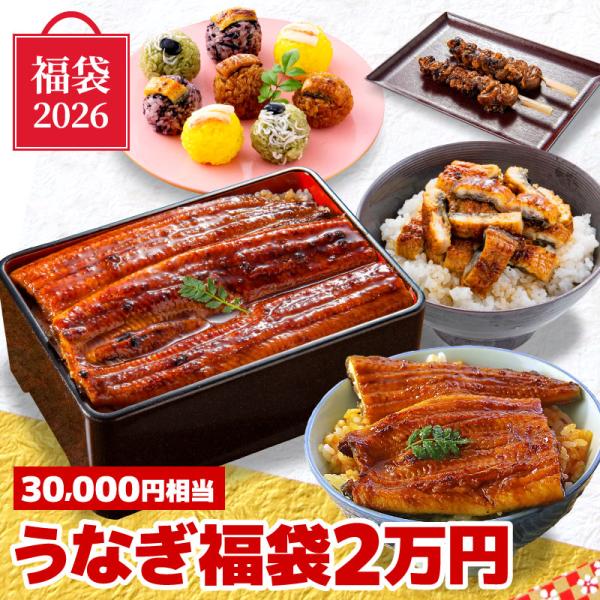30,000円相当！合計1.4kg以上の国産うなぎが入った豪華うなぎ福袋。■内容量：超特大うなぎ長蒲焼（約190~200g）×5尾、うなぎカット蒲焼（約80g）×3パック、きざみうなぎ（約50g）×5パック、手まりおこわ4種8個入り、焼肝串...