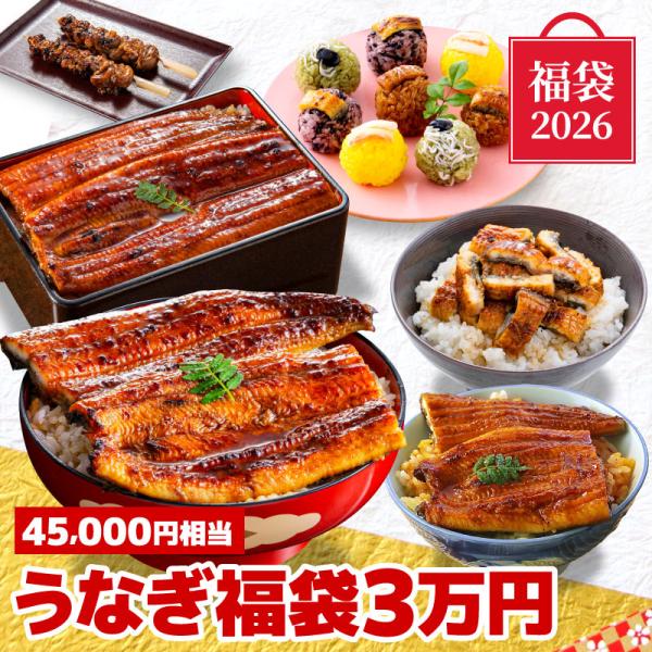 45,000円相当！国産うなぎがたっぷり入った豪華福袋■原材料：国産うなぎ（静岡県産、宮崎県産等）■内容量：超特大うなぎ長蒲焼（約190~200g）×8尾、うなぎカット蒲焼（約80g）×4パック、きざみうなぎ（約50g）×8パック、焼肝串8...