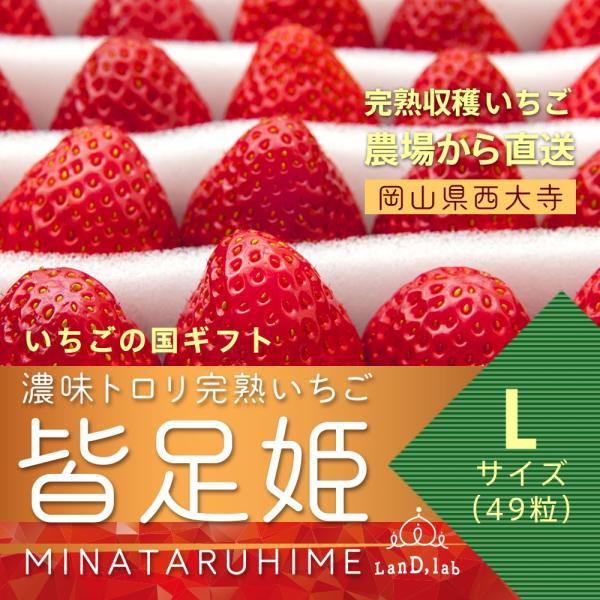【発売日：2025年01月15日】粒揃いで美しい「完熟いちご皆足姫」は贈り物にぴったり！宝石のガーネットのような深くツヤやかな濃い赤色が完熟の証！重厚感・コク・ふくよか・芳醇な香り岡山県西大寺オリジナルいちご『皆足姫（みなたるひめ）』の美味...