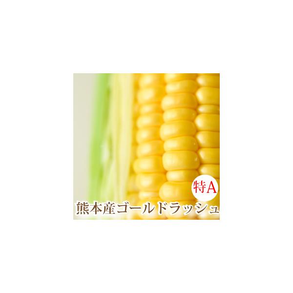 熊本県産のとうもろこし『ゴールドラッシュ』です。熊本県の農家から直送の朝採れ新鮮もぎたてです。■ゴールドラッシュの特徴1.スイーツのようなスイートコーン2.皮がやわらかくジューシーな味わい3.質の高いさわやかな甘み■お届けについて6月下旬か...