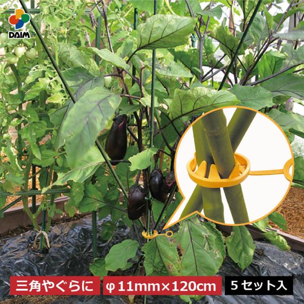 ナス、ピーマンなどにおススメ！栽培に最適な三脚やぐらがワンタッチで完成菜園/園芸/支柱/ガーデニング/ガーデニング用品/家庭菜園