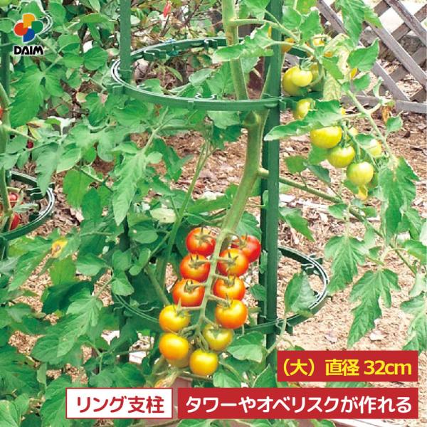 商品名daim ダイムリング　大仕様・特徴園芸支柱を組み合わせてかんたんにトピアリーやタワーを作れます。サイズ(約)直径32cm色グリーン内容ダイムリング 大　1個注意事項作業の際は、安全のため手袋などを着用して下さい。本来の用途と異なるご...