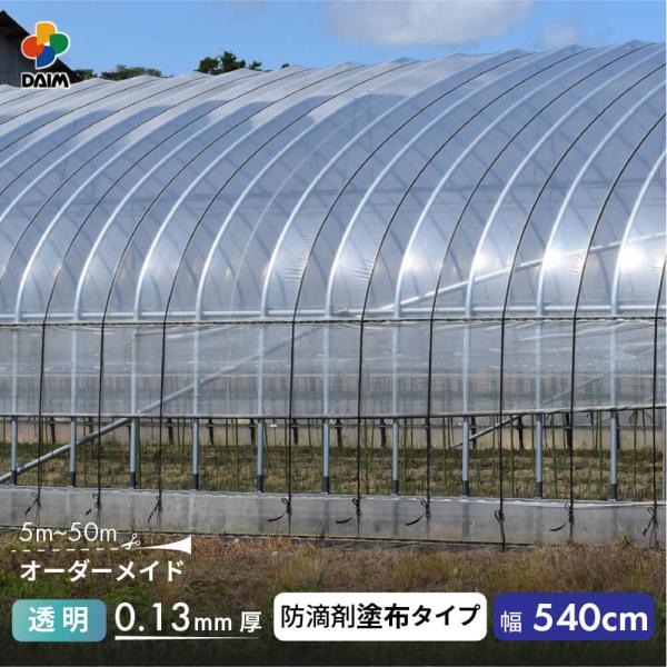 商品名daim オーダー加工 農業用POフィルム汎用 防滴剤塗布タイプ 0.13mm厚 540cm幅 m単位販売特徴・防滴剤コーティングの汎用塗布型農POです。・防滴性、防霧性に優れた高性能POフィルムです。サイズ(約)こちらのページは54...