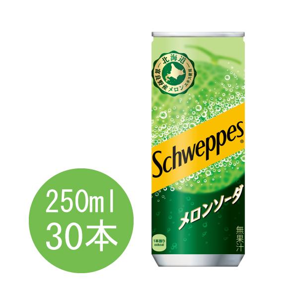 北海道で大人気のメロンフレーバー炭酸飲料『シュウェップス メロンソーダ』が、250ml缶のお手軽サイズで全国新発売いたします。富良野産メロンエキスを使用し、メロンの芳醇な甘み、爽やかな香りを実現。ひとくち飲めば、まるで北海道に行った気分にな...