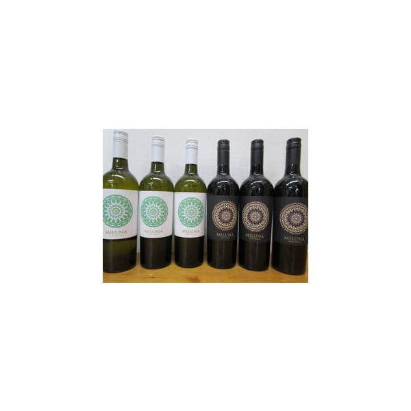 ミルーナ ロッソ3本＆ビアンコ3本　750ML